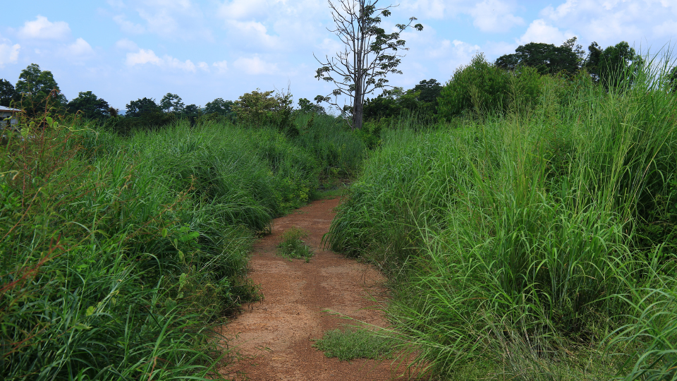 DIVISION C – LAND ACQUISITION - Project 500