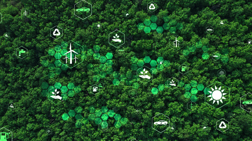 Homepage - Project 500