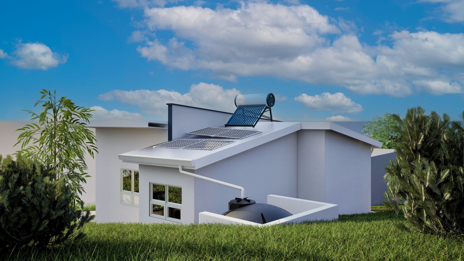 Ginger - Project 500